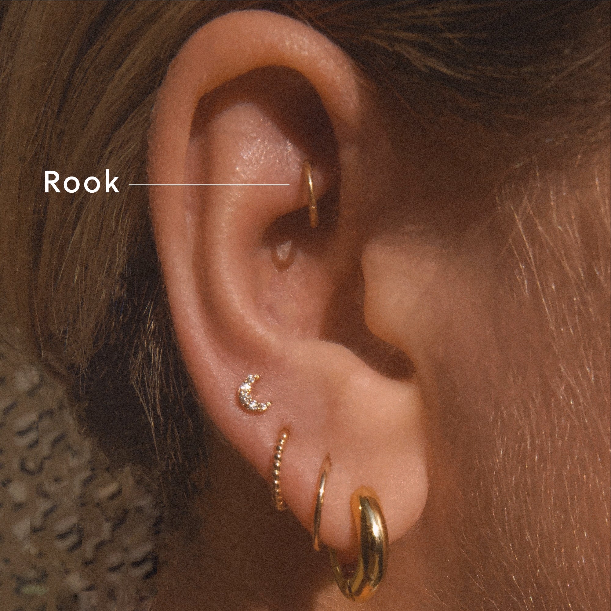 Rook Piercings | Mod + Jo