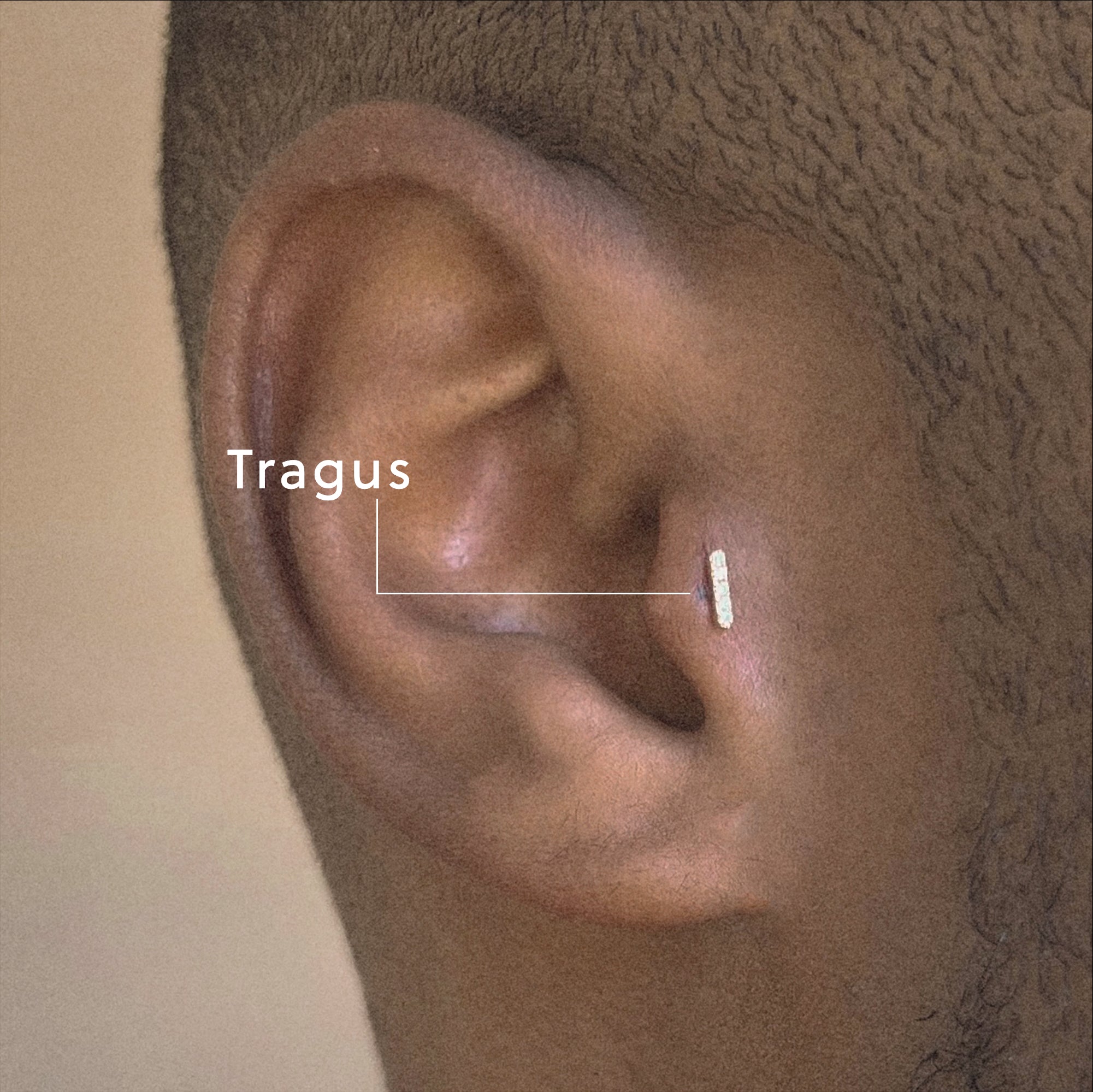 Tragus Piercings | Mod + Jo